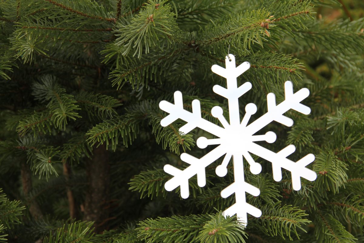 Flocon forme plate - MT Deco